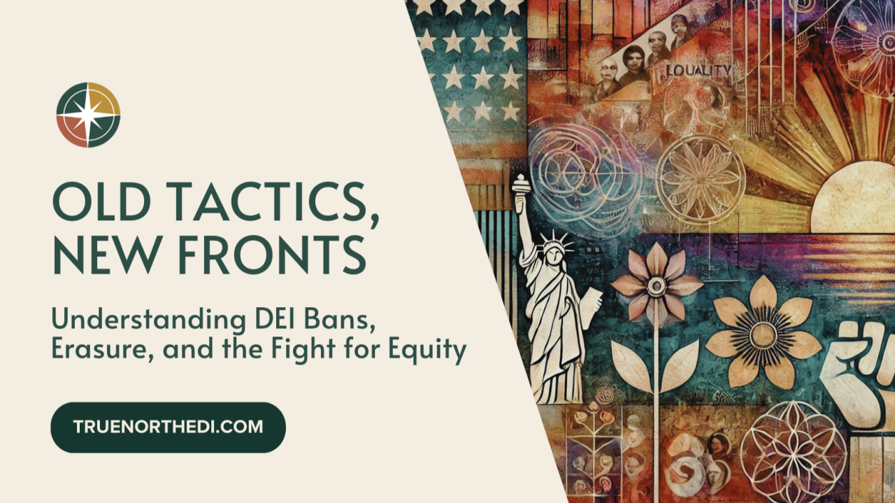 Old Tactics, New Fronts: Understanding DEI Bans, Erasure, and the Fight ...
